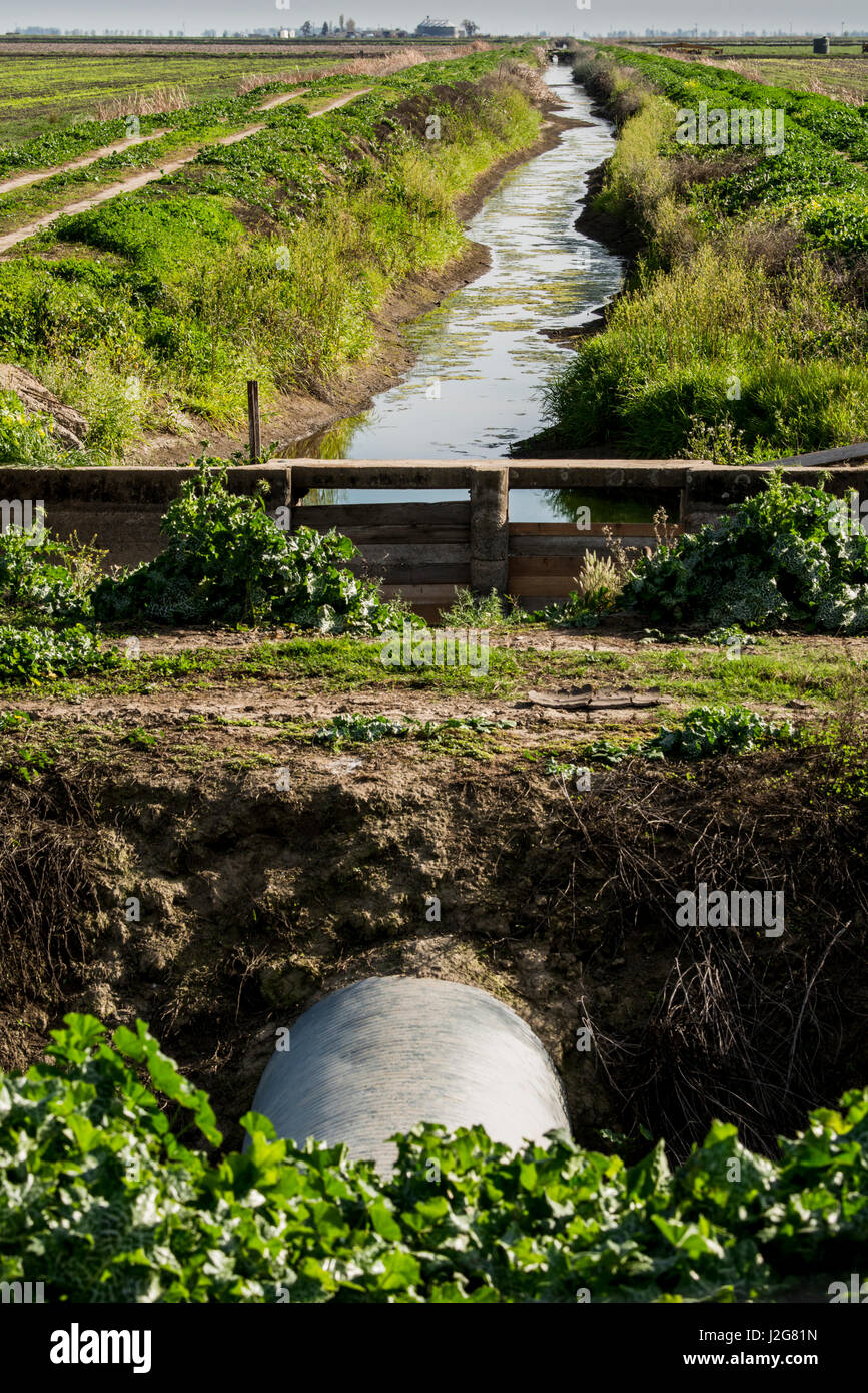 USA, California, Tisdale Road, Tisdale Bypass Irrigation Canal running ...