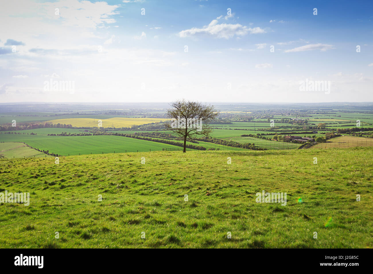 Perfect summer landscape from a hill outdoors Stock Photo - Alamy