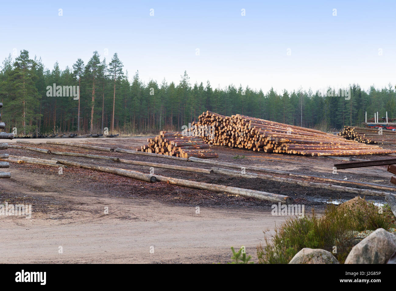 Deforestation forests to build new houses from trees Stock Photo - Alamy