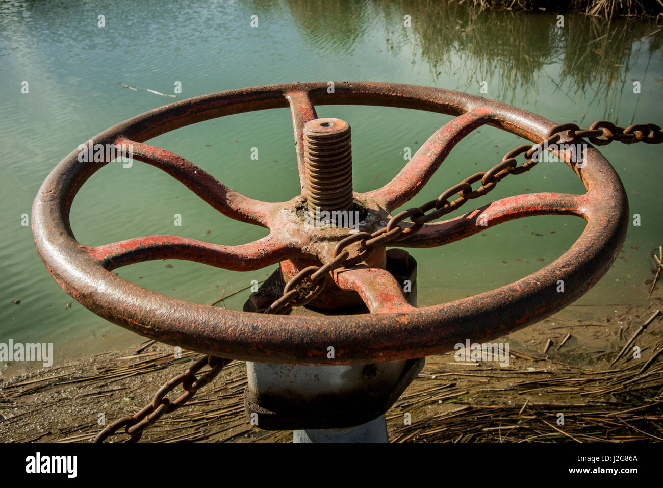 USA, California, southwest of Sutter, Tisdale Road, Tisdale Bypass ...