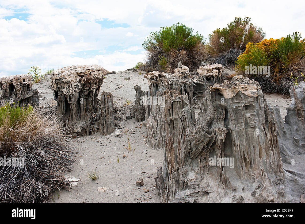 USA, California, Lee Vining, Mono Lake Sand Tufa on Navy Beach Stock ...