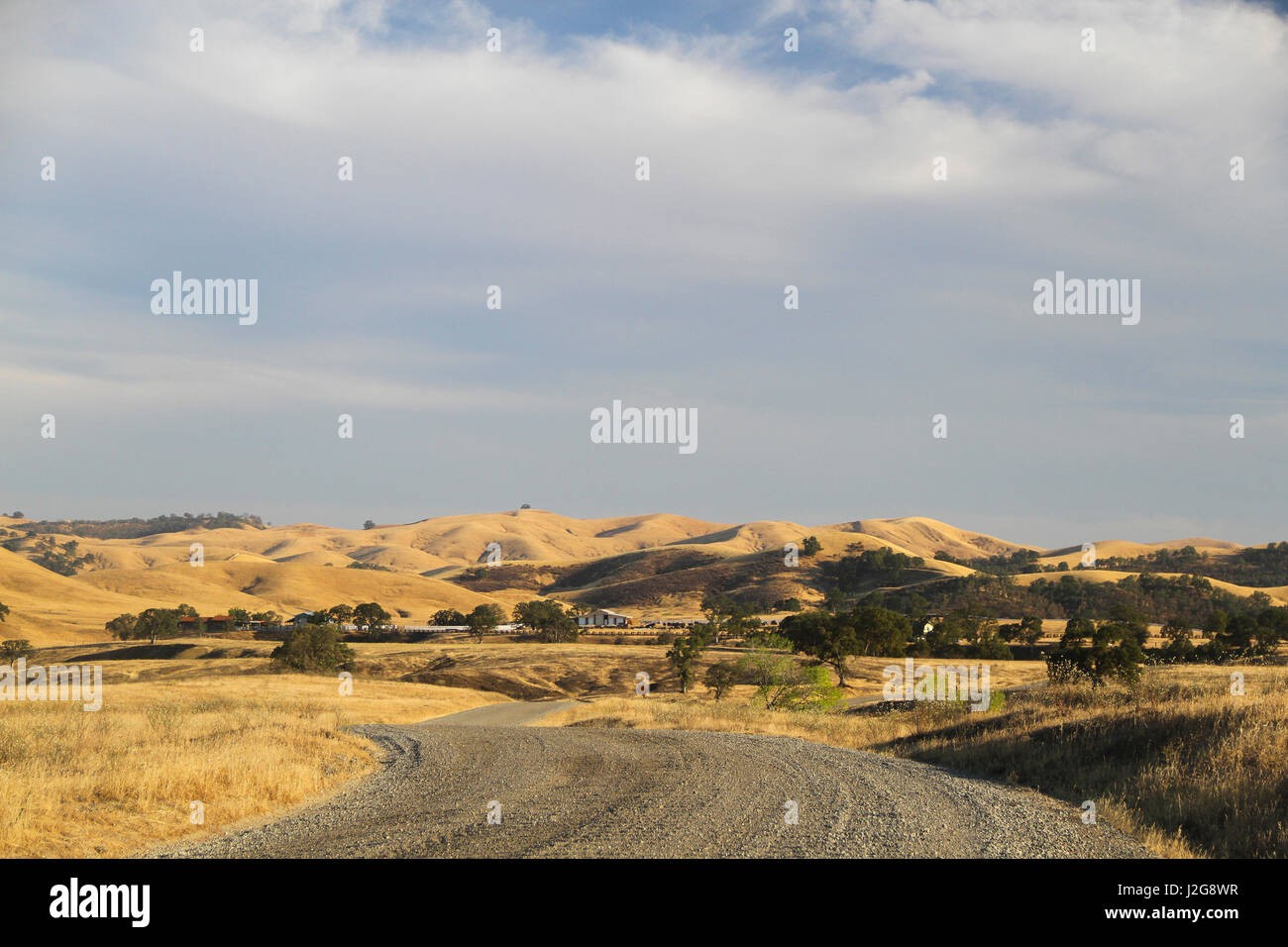A gravel road through the landscape in the remote town of Ono, Shasta ...