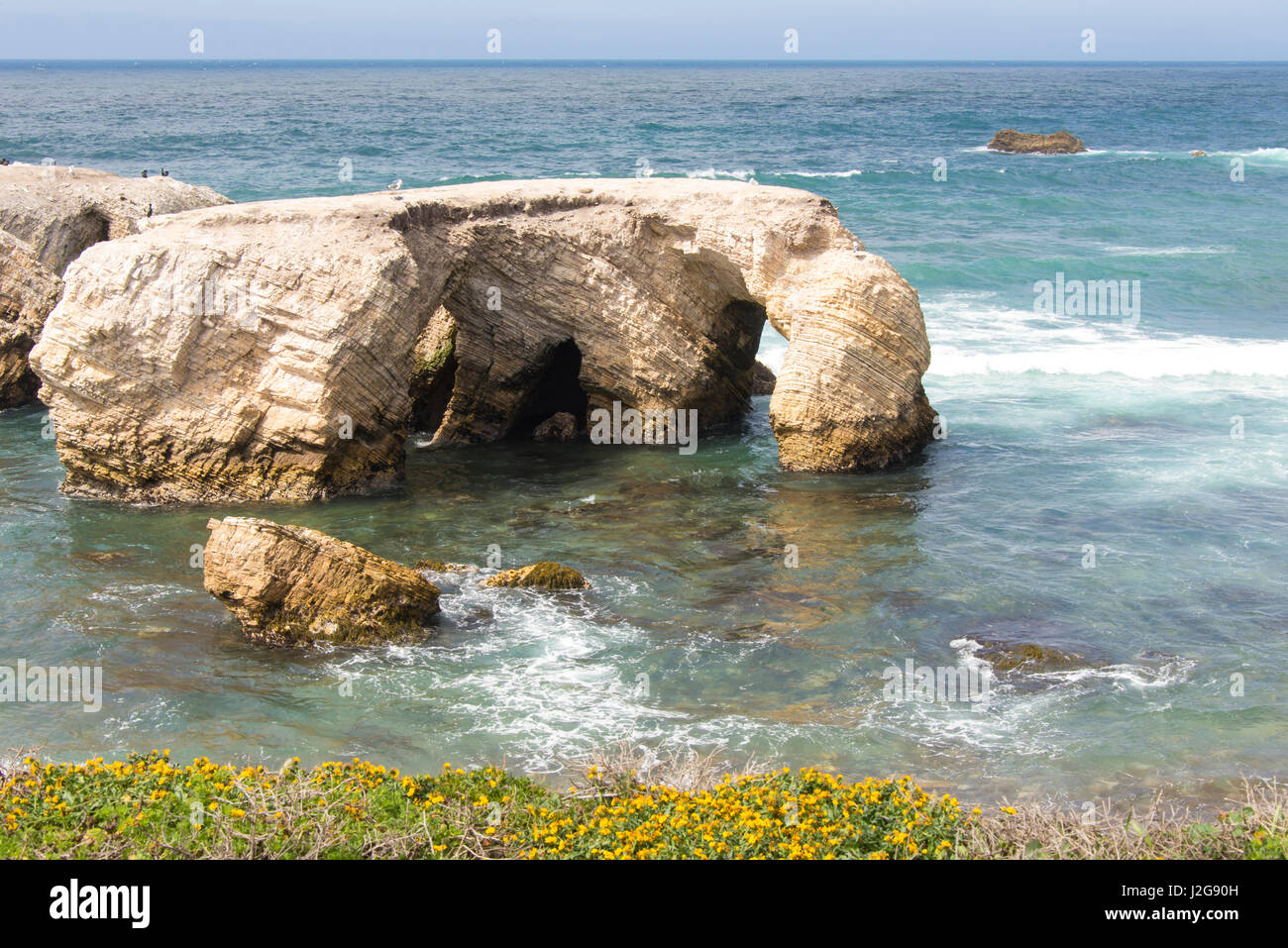 Point buchon trail hi-res stock photography and images - Alamy