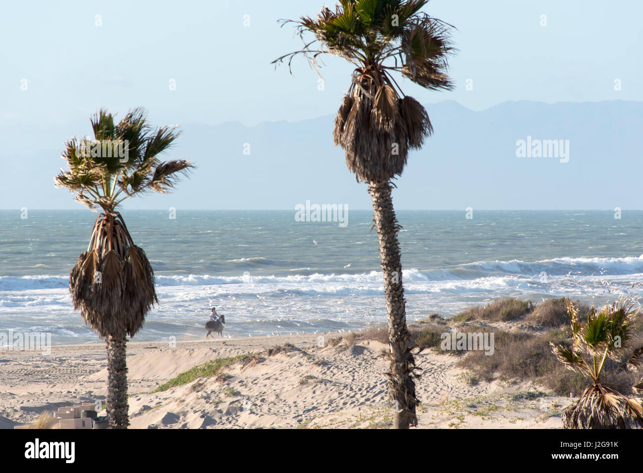 Oxnard beach park california hi-res stock photography and images - Alamy