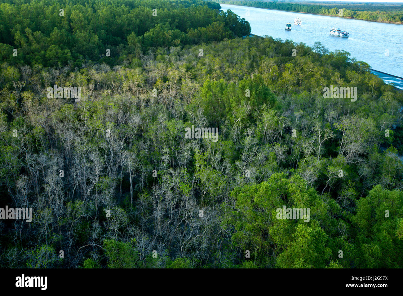 Aerial view of the Sundarbans, a UNESCO World Heritage Site and a ...