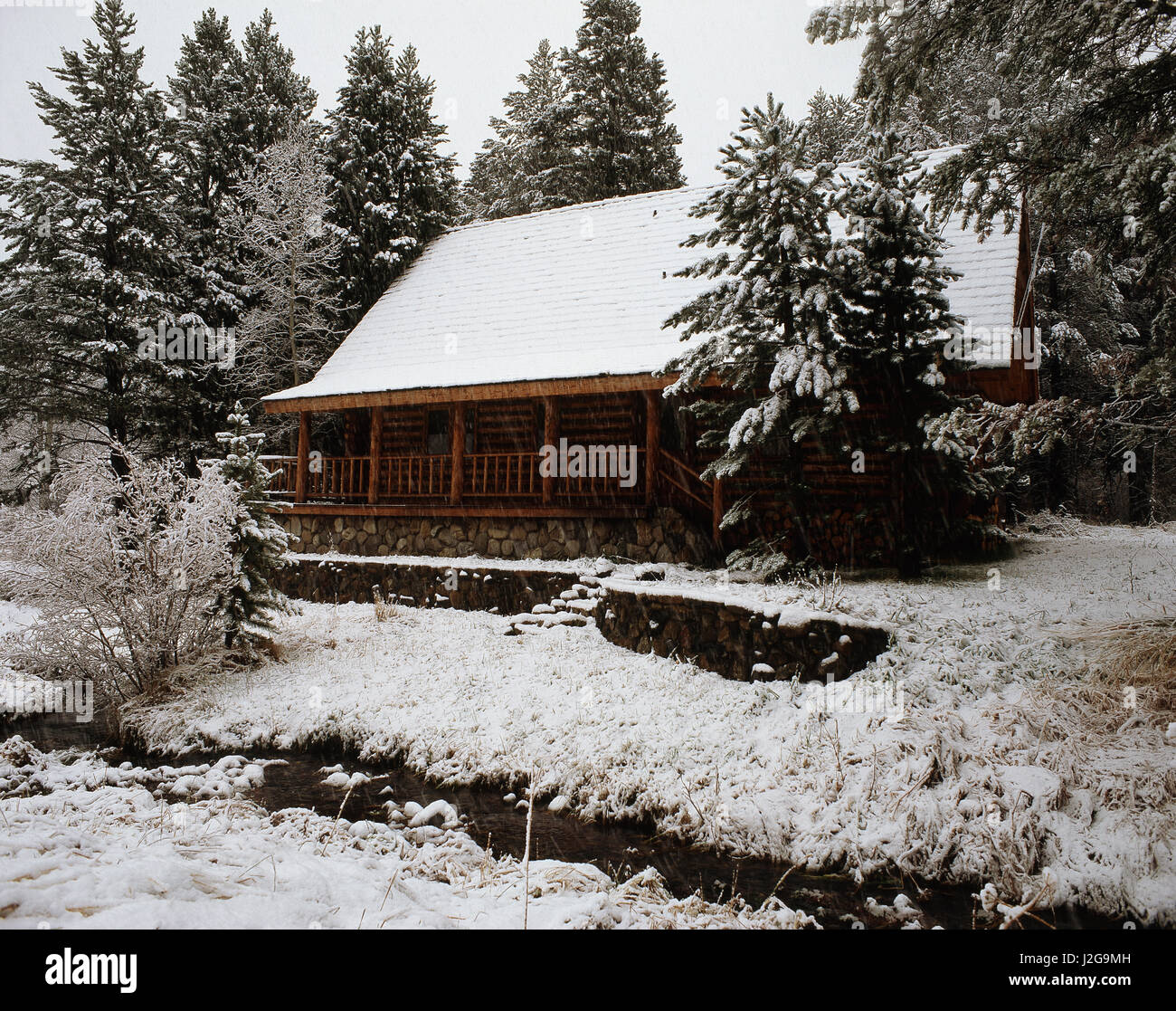 USA, California, June Lake, snow covered house with trees in winter ...