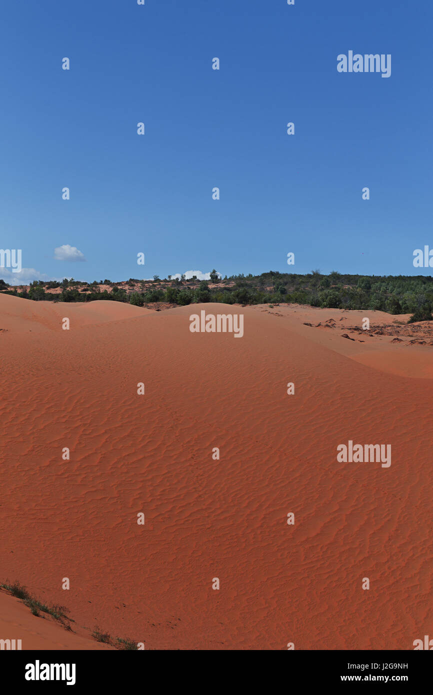 Red sand dunes in Mui Ne villiage, Vietnam Stock Photo - Alamy
