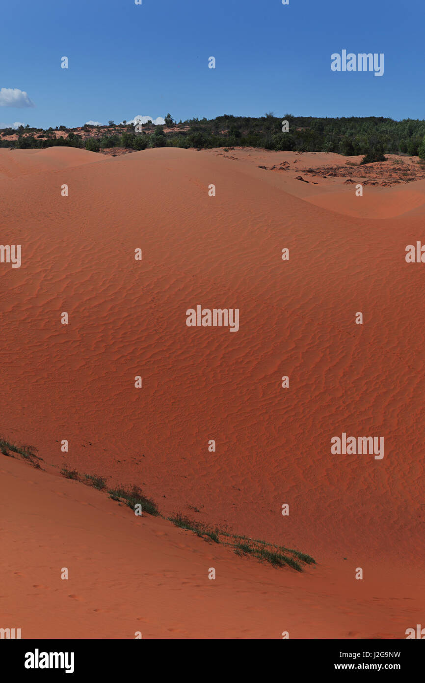 Red sand dunes in Mui Ne villiage, Vietnam Stock Photo - Alamy