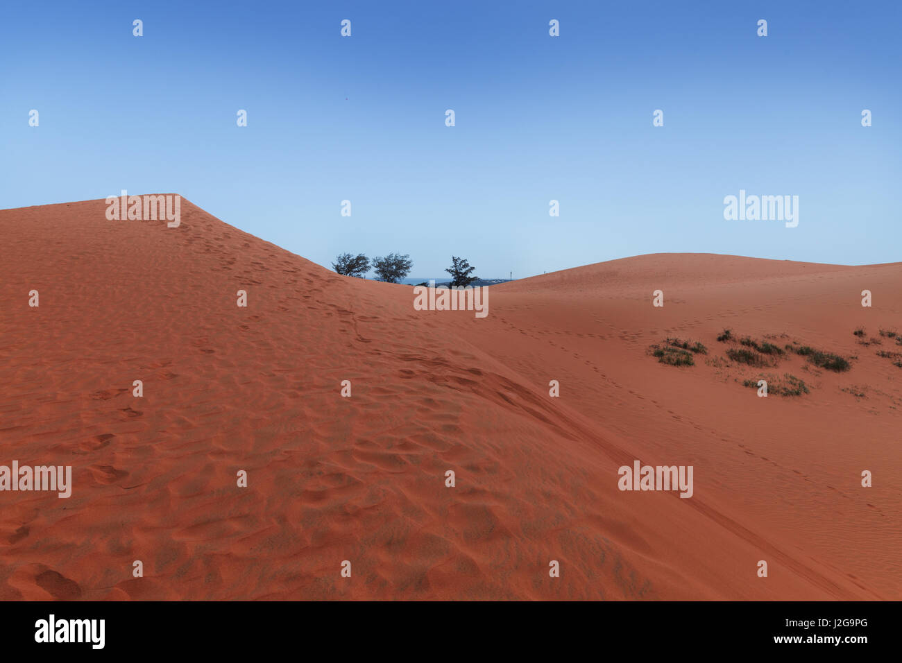Popular Red sand dunes in Mui Ne villiage, Vietnam Stock Photo - Alamy