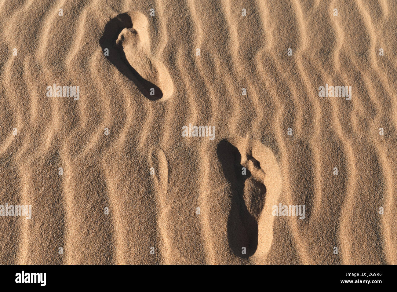 Foot print on sand dunes hi-res stock photography and images - Alamy