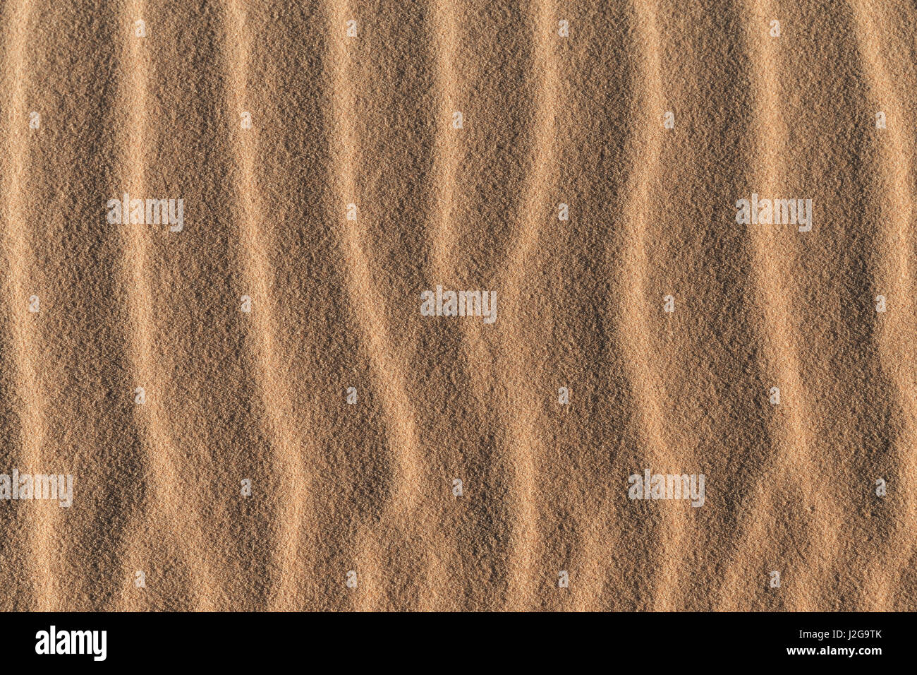 Desert sand texture asia windy summer background Stock Photo - Alamy