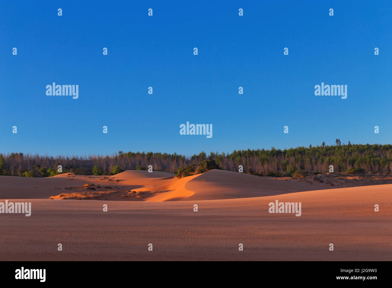 Popular Red sand dunes in Mui Ne villiage, Vietnam Stock Photo - Alamy