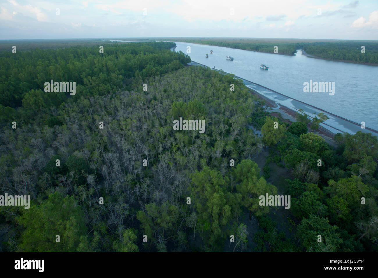 Aerial view of the Sundarbans, a UNESCO World Heritage Site and a ...
