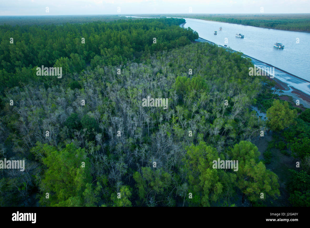 Aerial view of the Sundarbans, a UNESCO World Heritage Site and a ...