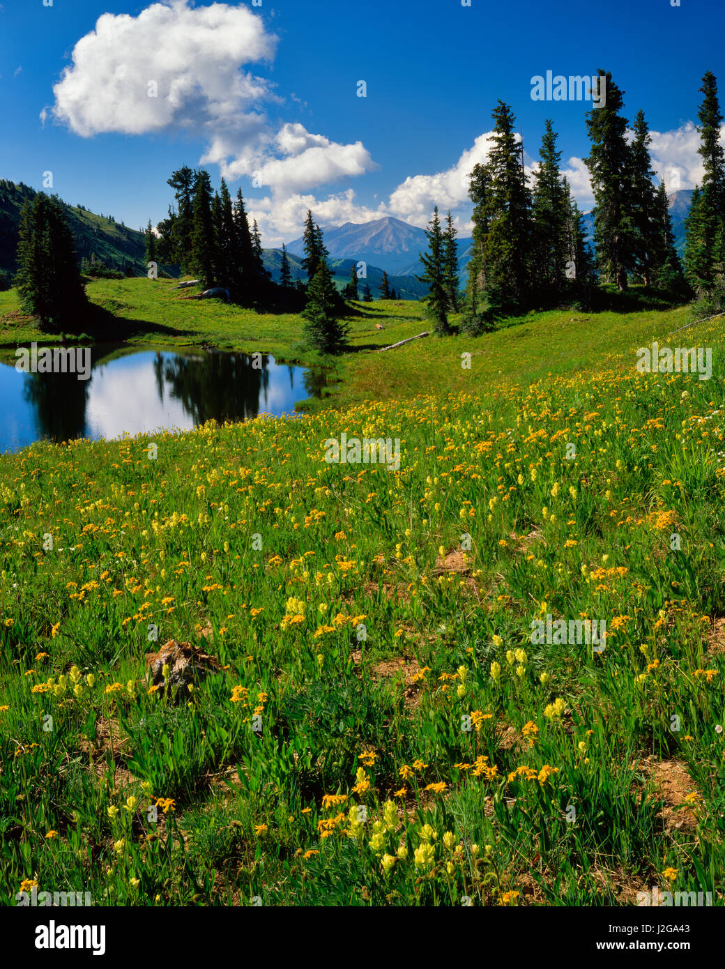 USA, Colorado, Paradise Divide. View of Whetstone Mountain from in ...