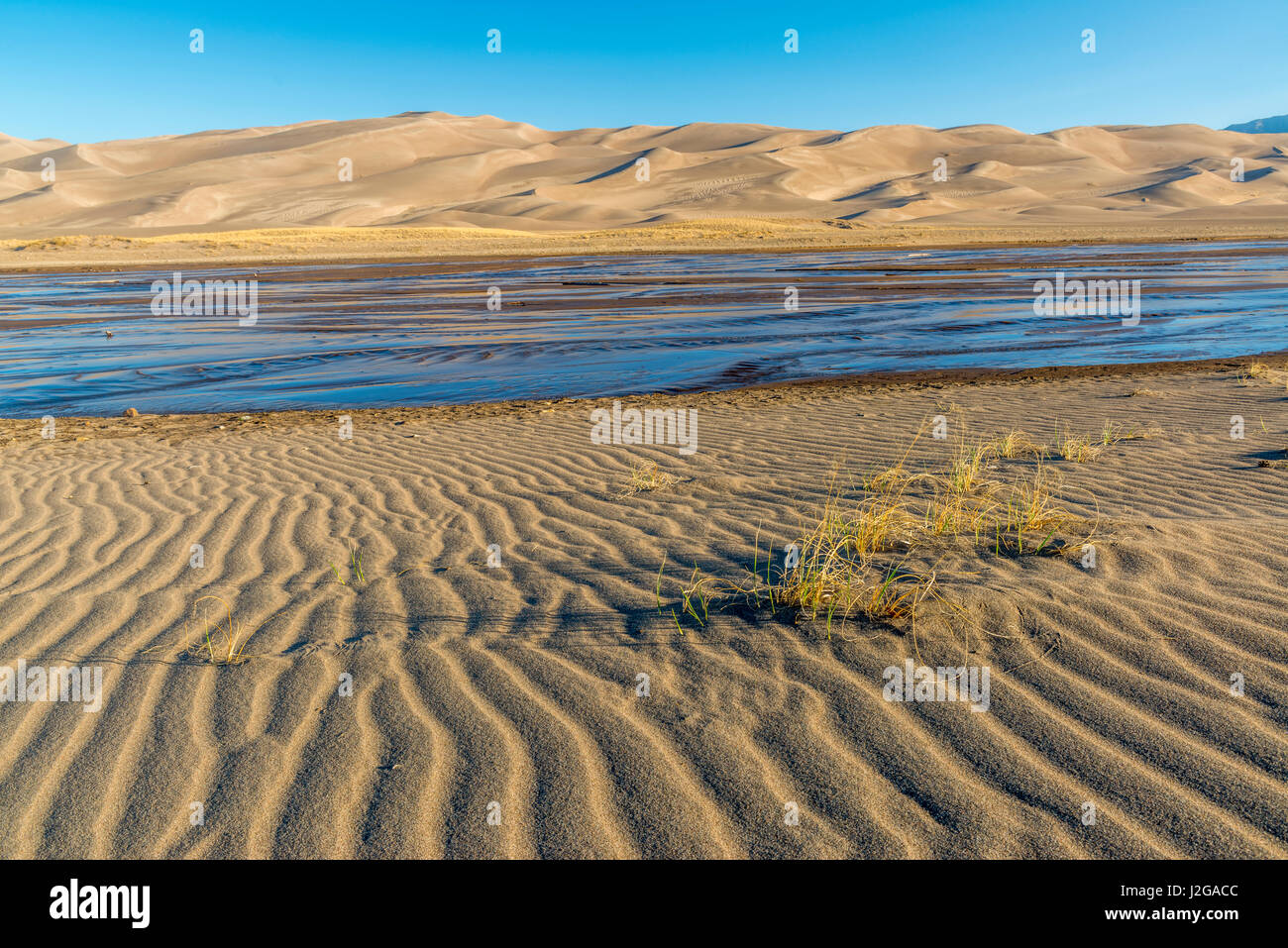 Ripples in the Sand at the Great Sand Dunes National Park (Large format ...