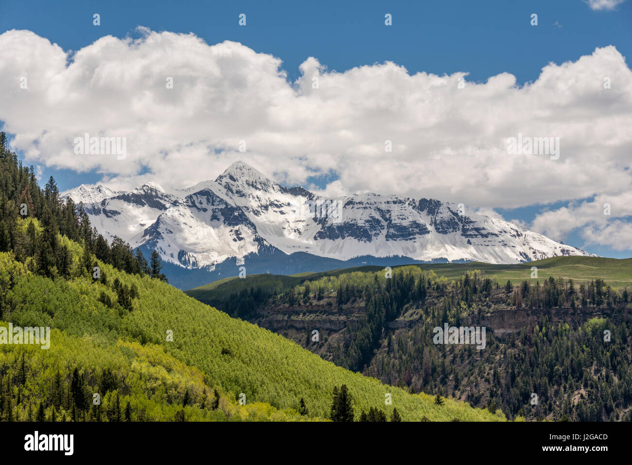 Snow capped Mount Wilson in the spring Stock Photo - Alamy