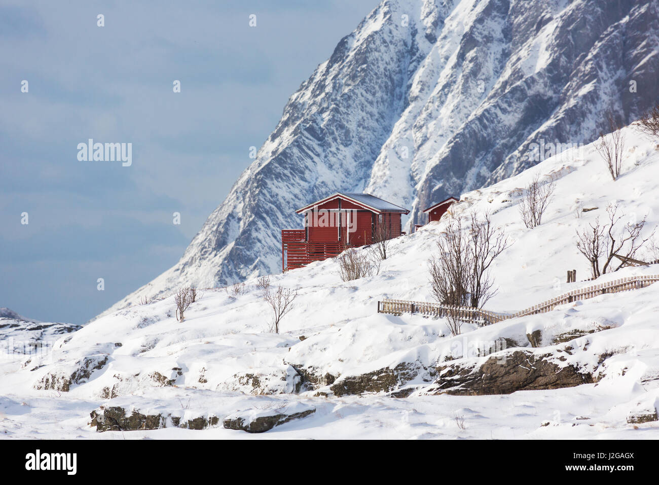 The red cabin in the mountains of the Lofoten Islands in winter Stock ...