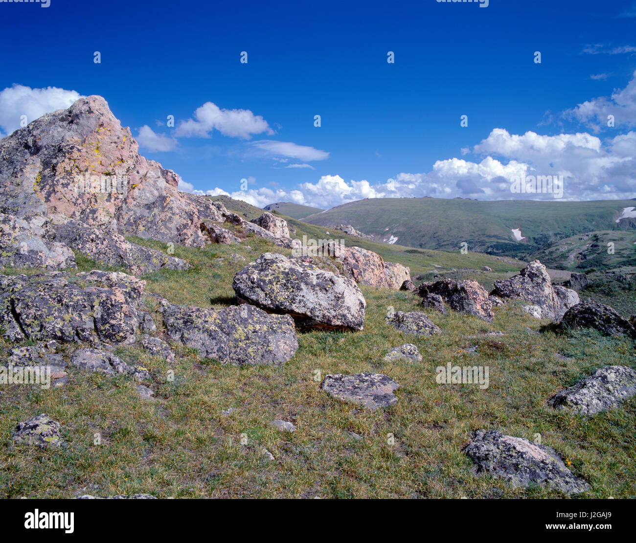 USA, Colorado, Rocky Mountain National Park, Alpine tundra and lichen ...
