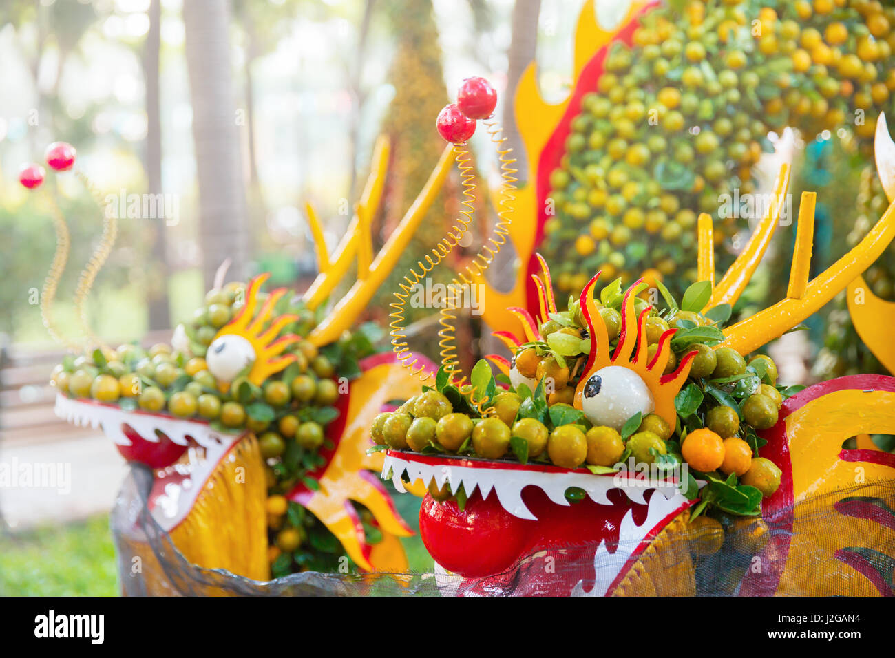 Citrus tangerine, mandarin, kumquat orange fruits dragon as the symbol ...