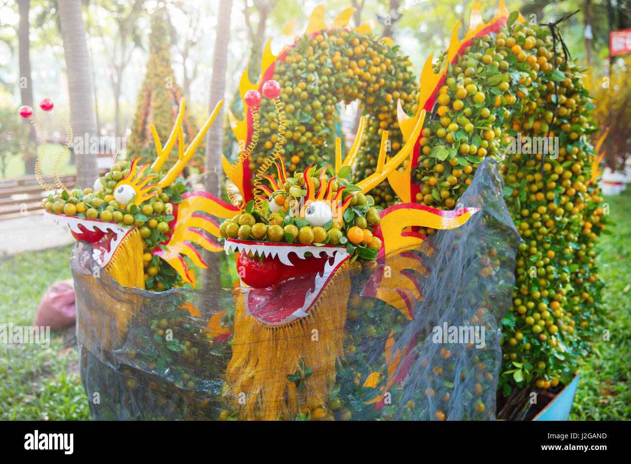 Citrus tangerine, mandarin, kumquat orange fruits dragon as the symbol ...