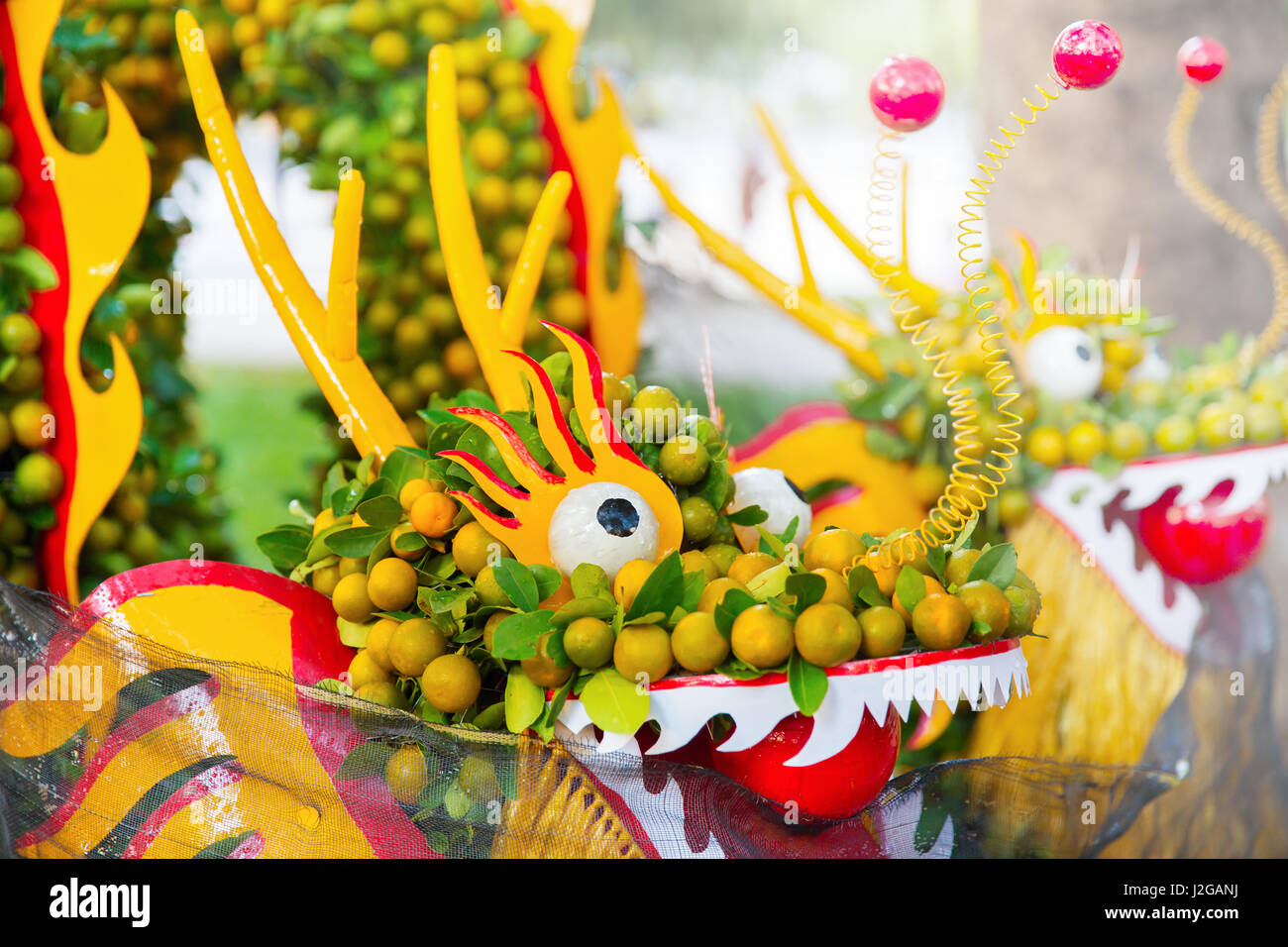 Citrus tangerine, mandarin, kumquat orange fruits dragon as the symbol ...
