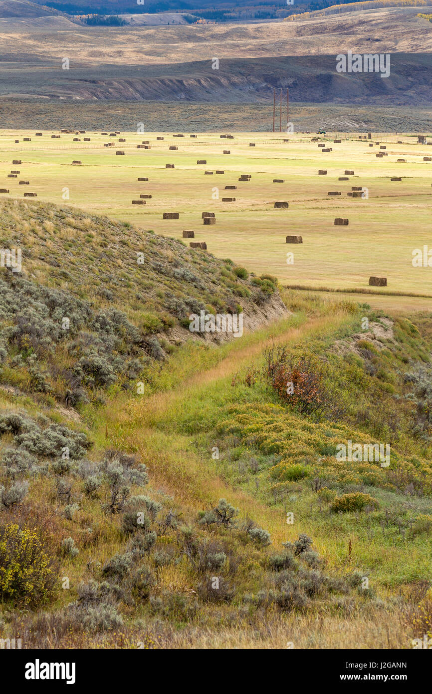 Hay fields, Colorado mountains Stock Photo - Alamy