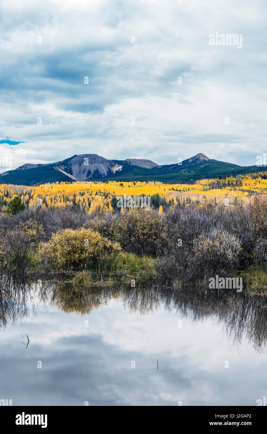 Usa, Colorado, Autumn color at Steamboat Lake (Large format sizes ...