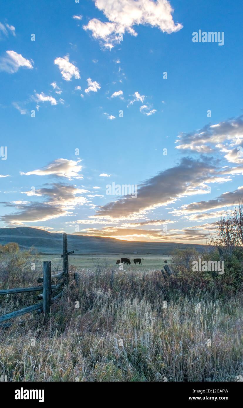 Usa, Colorado, near Gunnison, Ranch Sunrise (Large format sizes ...