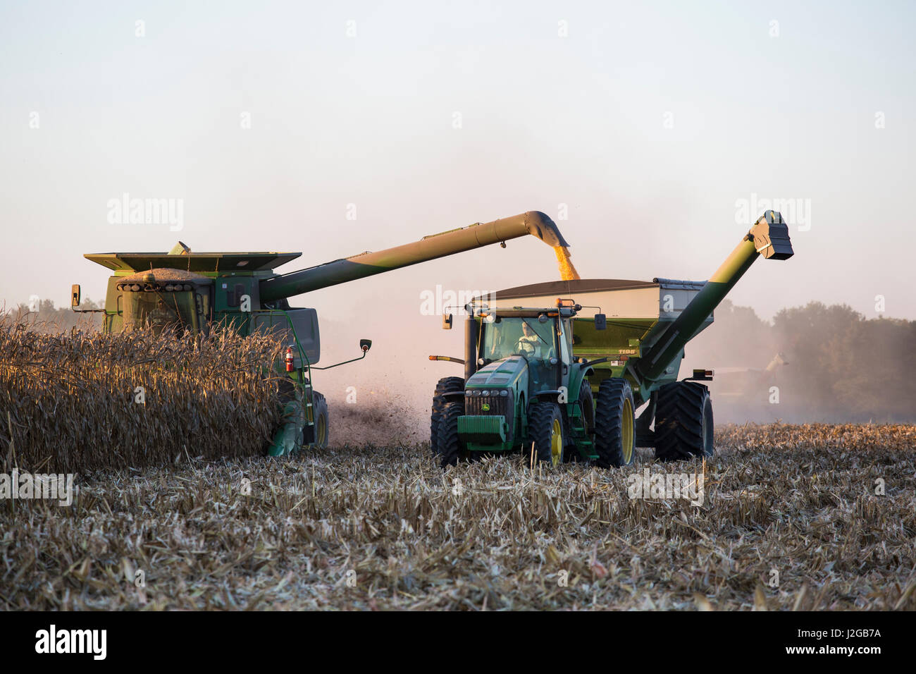 Combine harvesting corn while unloading corn into wagon, Marion County ...