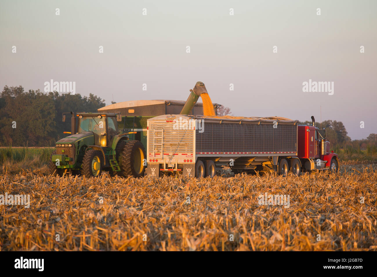 Semi truck in corn field High Resolution Stock Photography and Images ...