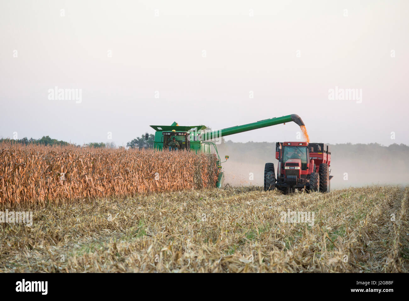 Susan farmer hi-res stock photography and images - Alamy