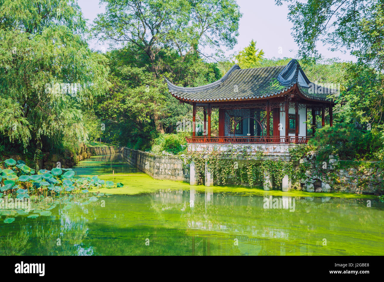 Pekin, China, 2016, Street view. Old city and nature. It's a travel ...