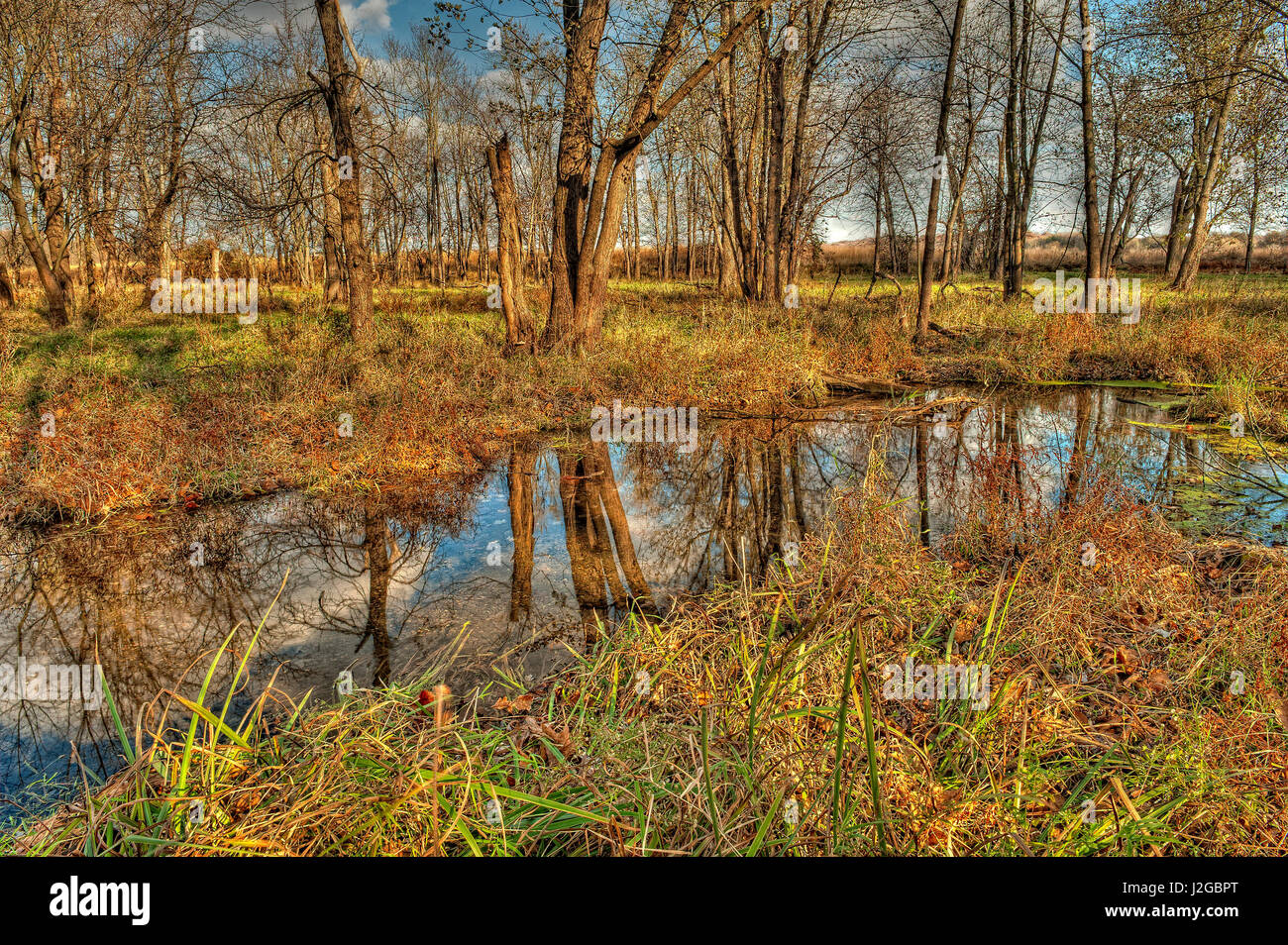 USA, Indiana. Prophetstown State Park in autumn Stock Photo - Alamy