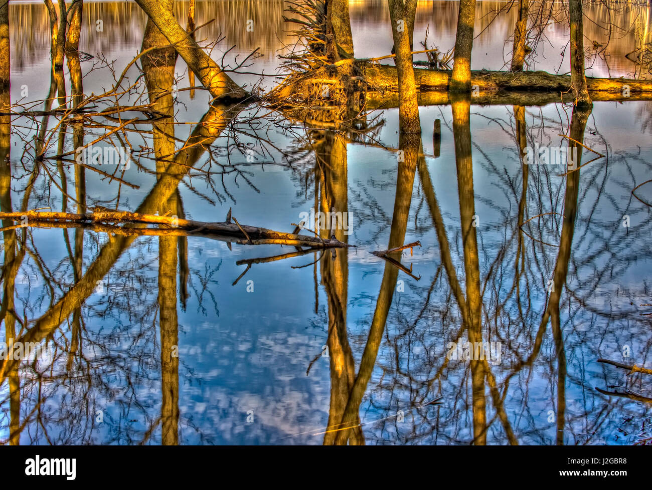 Tree reflections at Hadley Lake, West Lafayette, Indiana Stock Photo ...