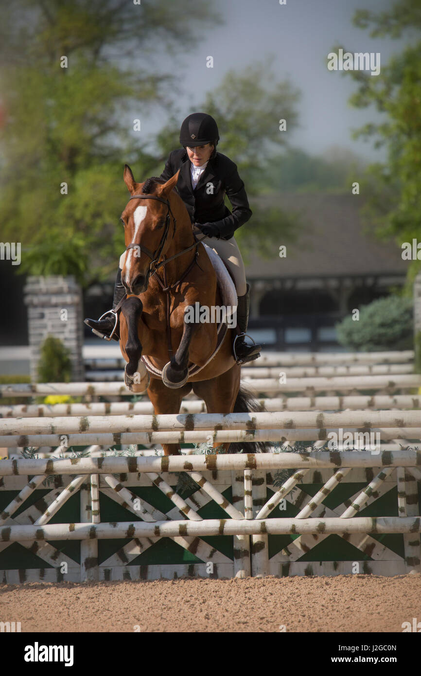 Rider and horse jumping fence hi-res stock photography and images - Alamy