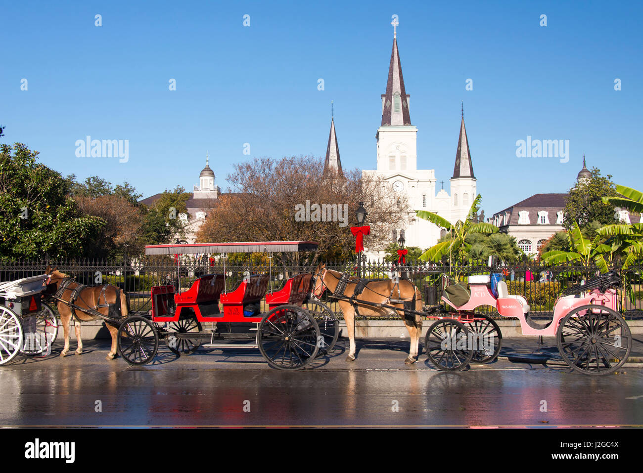 US, LA, New Orleans. Jackson Square carriage rides line up in morning ...
