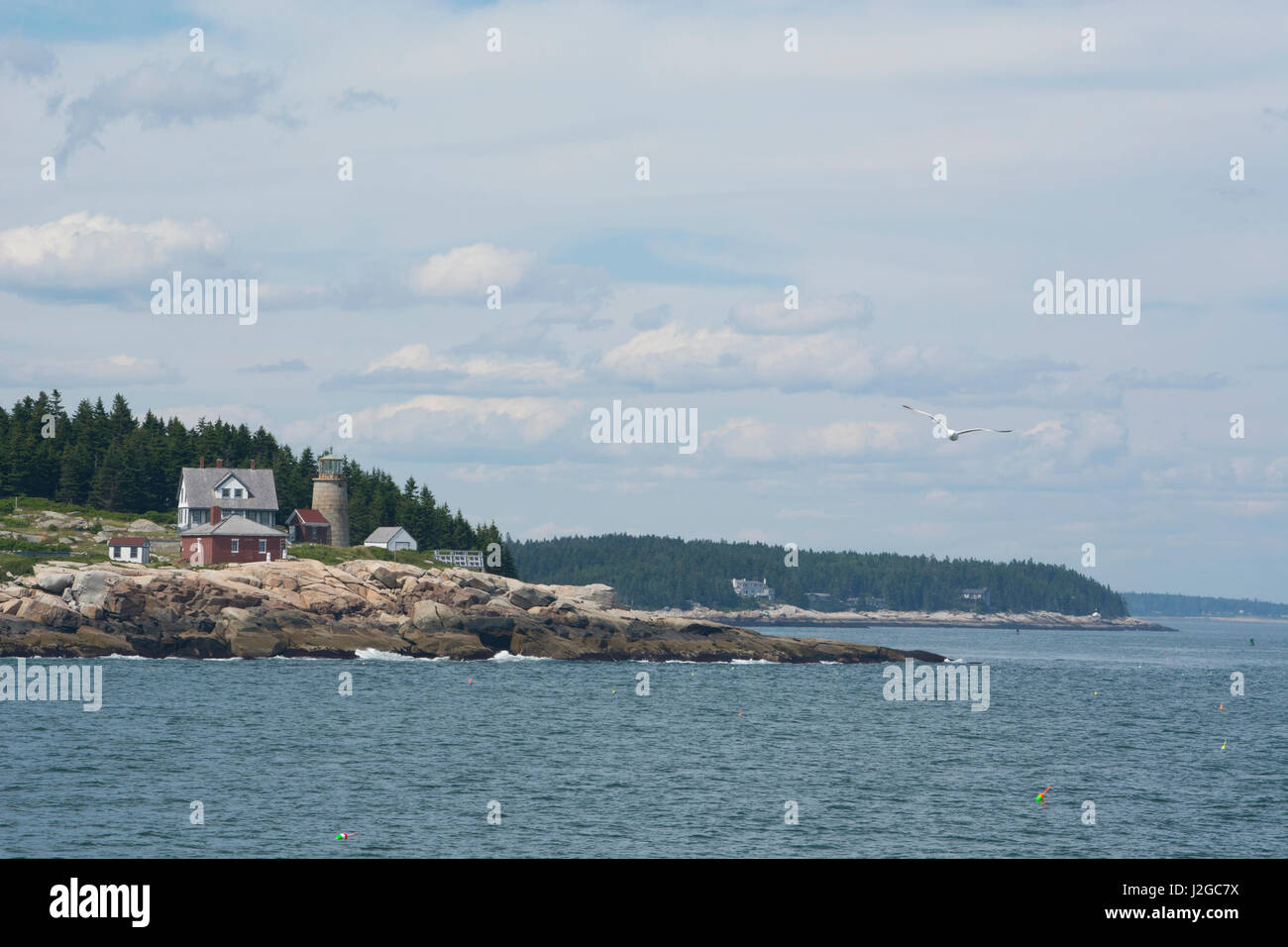 George whitehead hi-res stock photography and images - Alamy