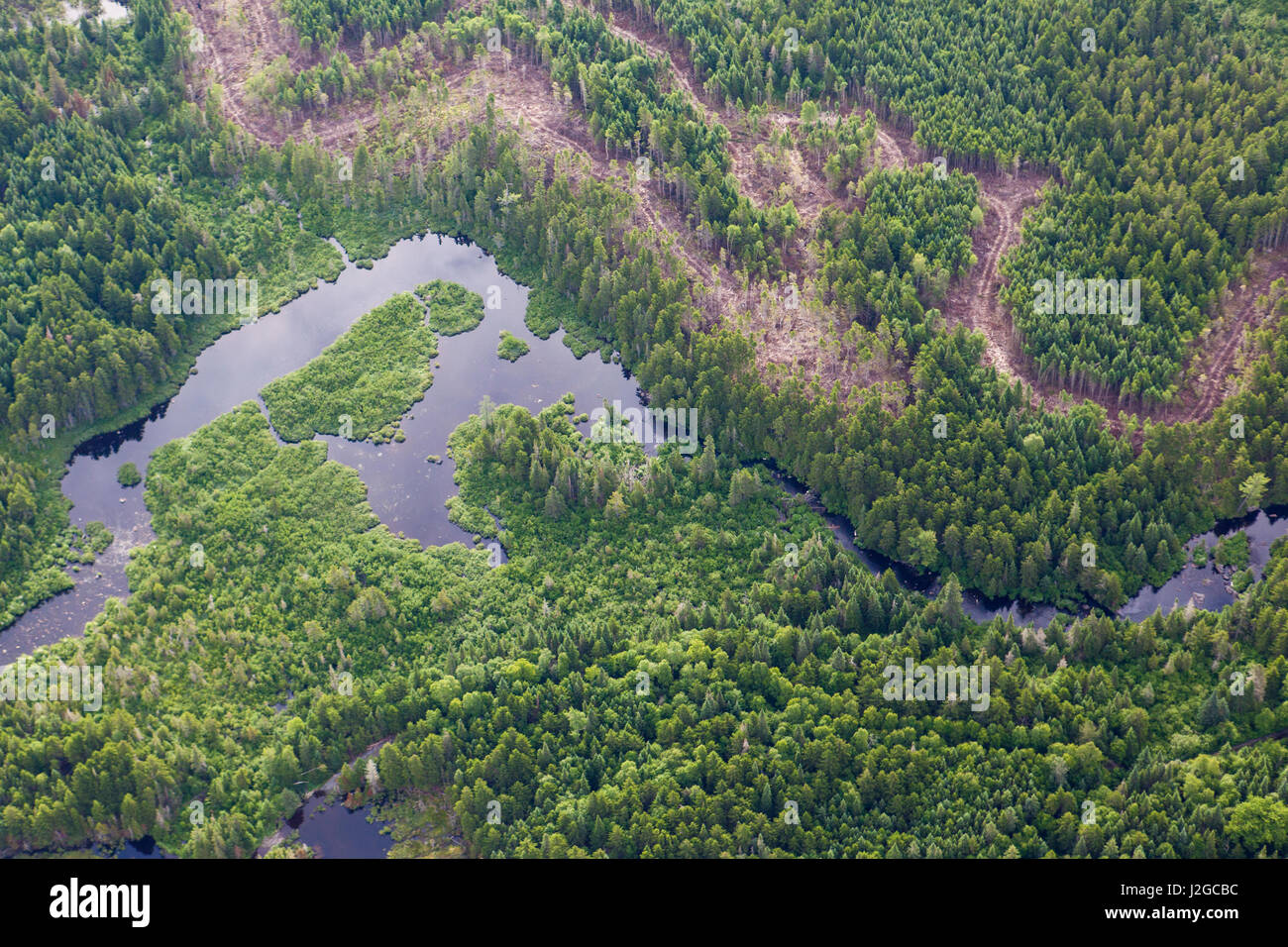 Logging roads and wetlands in the Cold Stream watershed in industrial ...