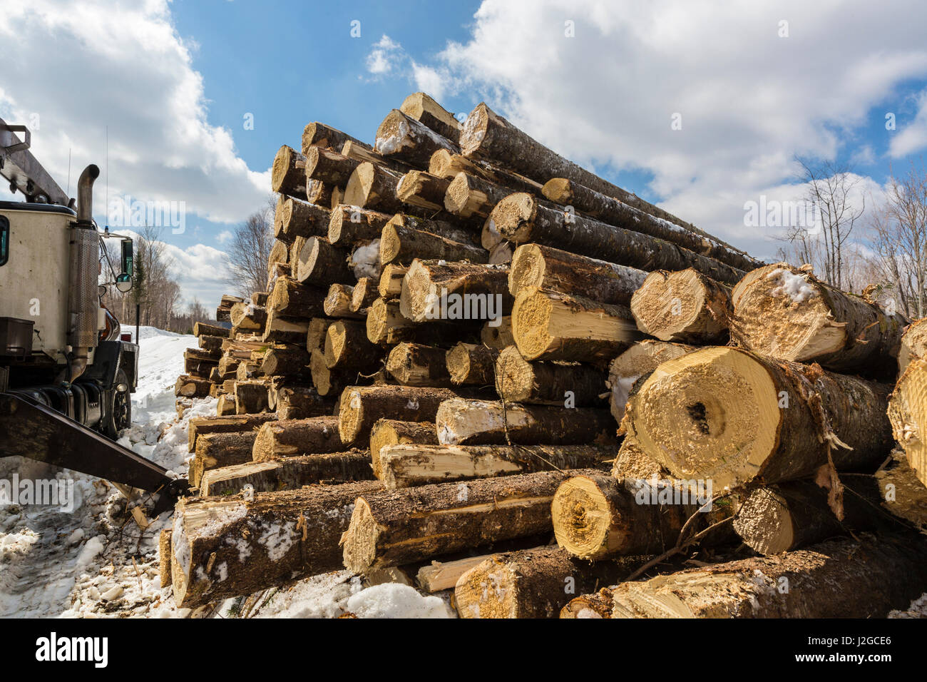 Recently harvested timber in a log yard at Big Six Township, Maine ...