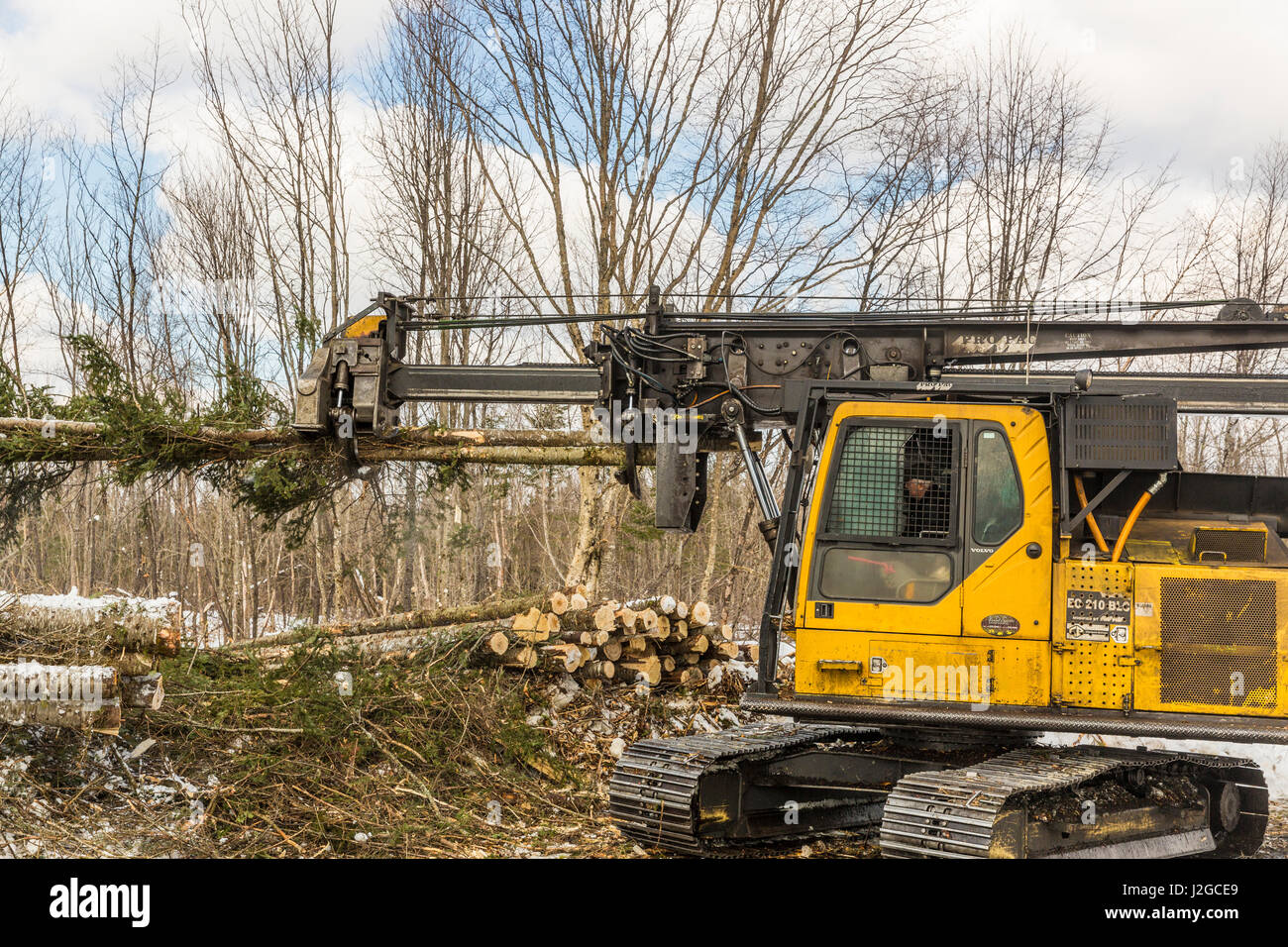 Delimber hi-res stock photography and images - Alamy