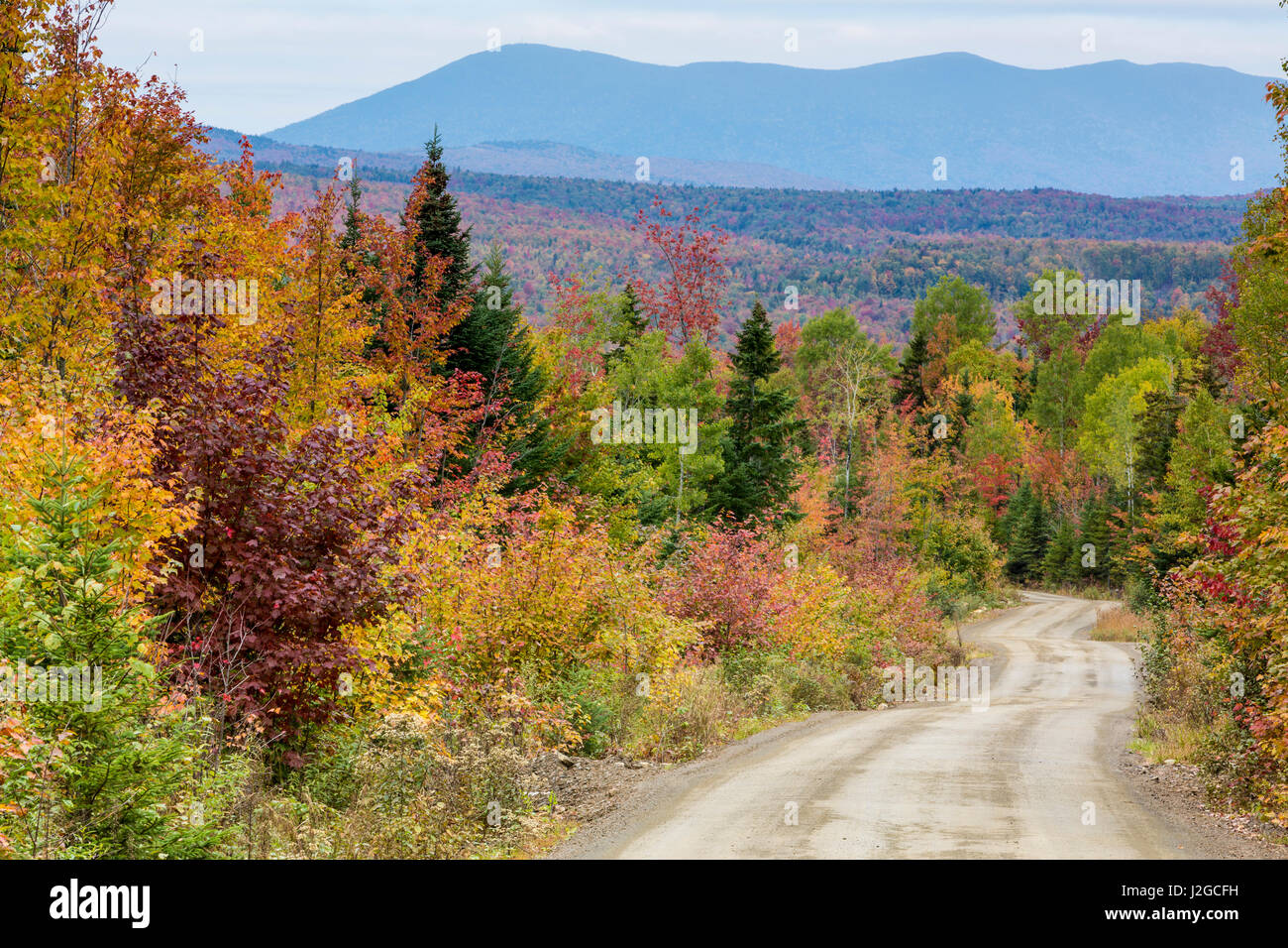 A logging road in Reddington Township, Maine provides a view of East ...