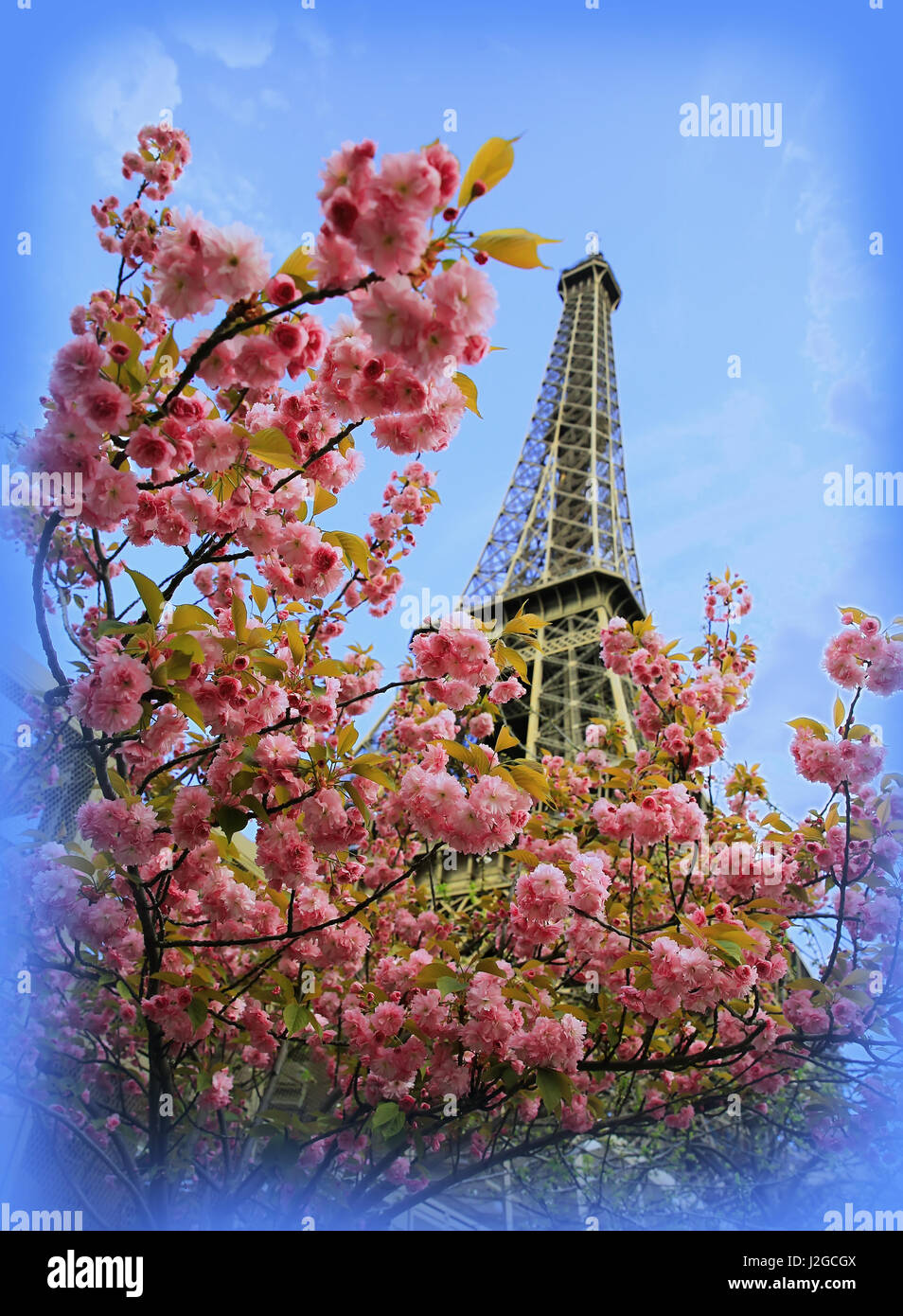 Eiffel Tower in spring time, Paris, France Stock Photo - Alamy