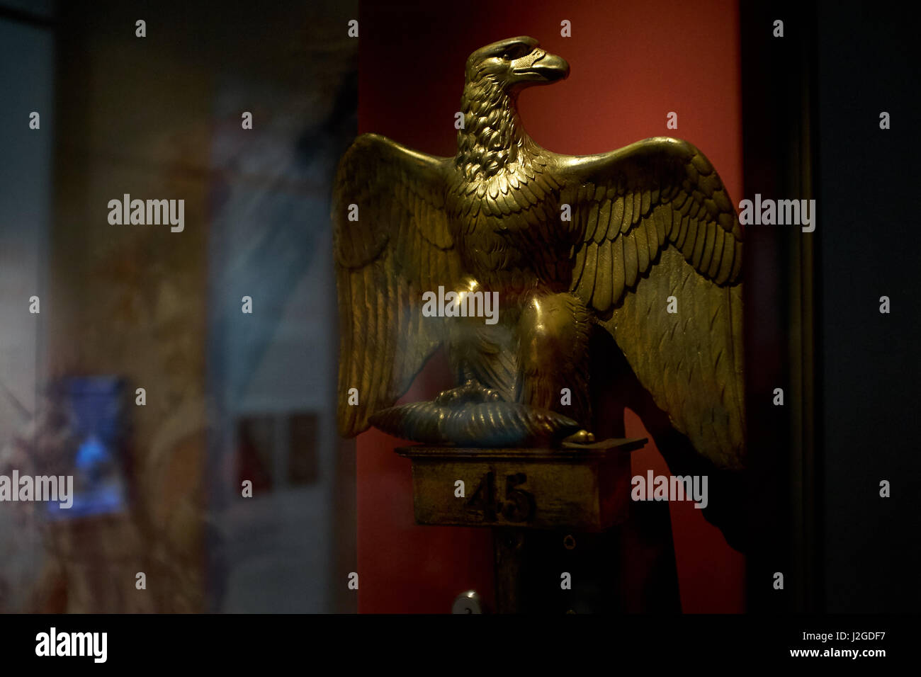 The French Eagle captured by Sgt Ewart of The Scots Greys during the ...
