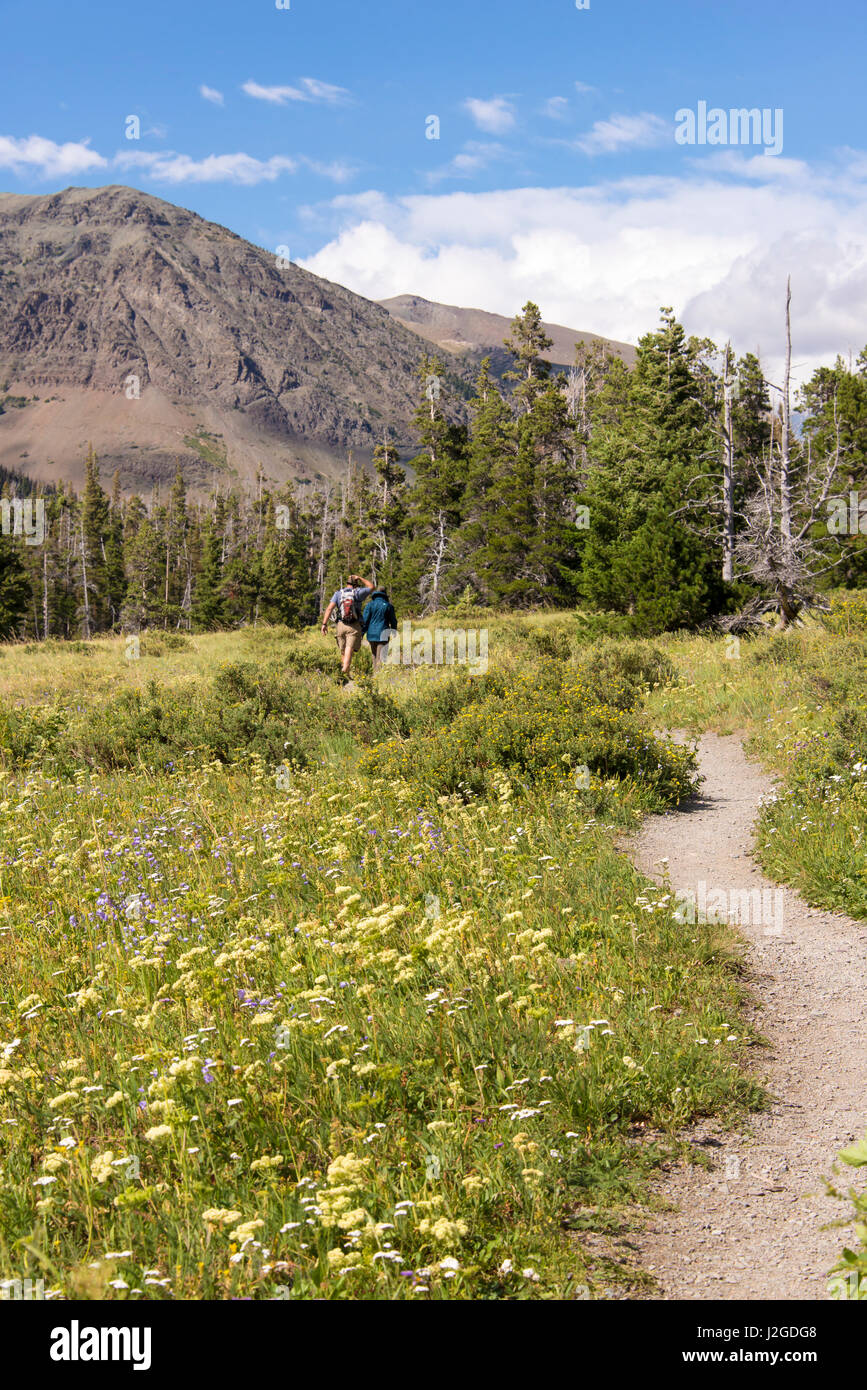 Glacier National Park. Hikers on Two Medicine Lake trail from Cobalt ...