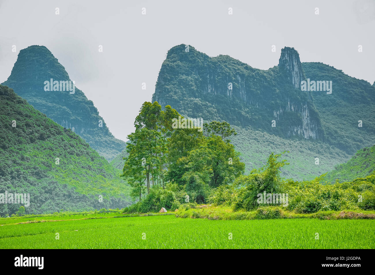 Beautiful countryside scenery in spring Stock Photo - Alamy