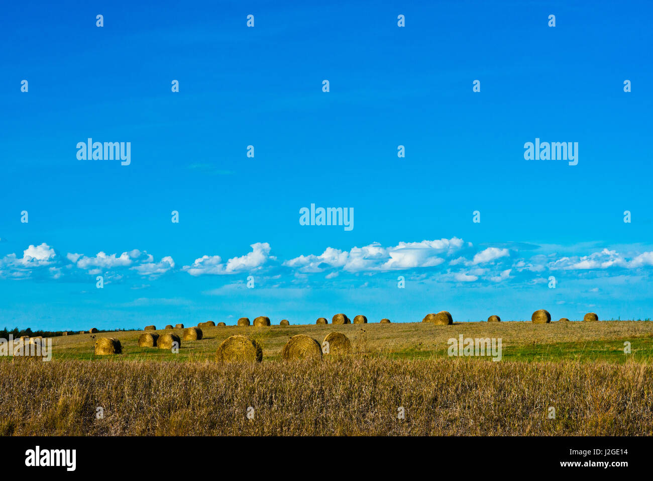 USA, Nebraska. Panhandle, Rolling Hills, farmland rolled round bales ...