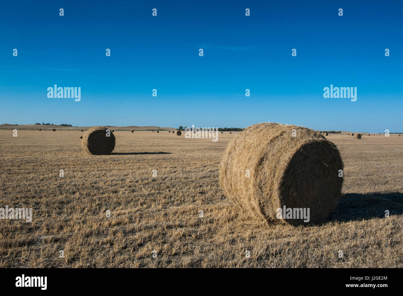 Hay bales on a field along Route 2 through Nebraska, USA Stock Photo ...