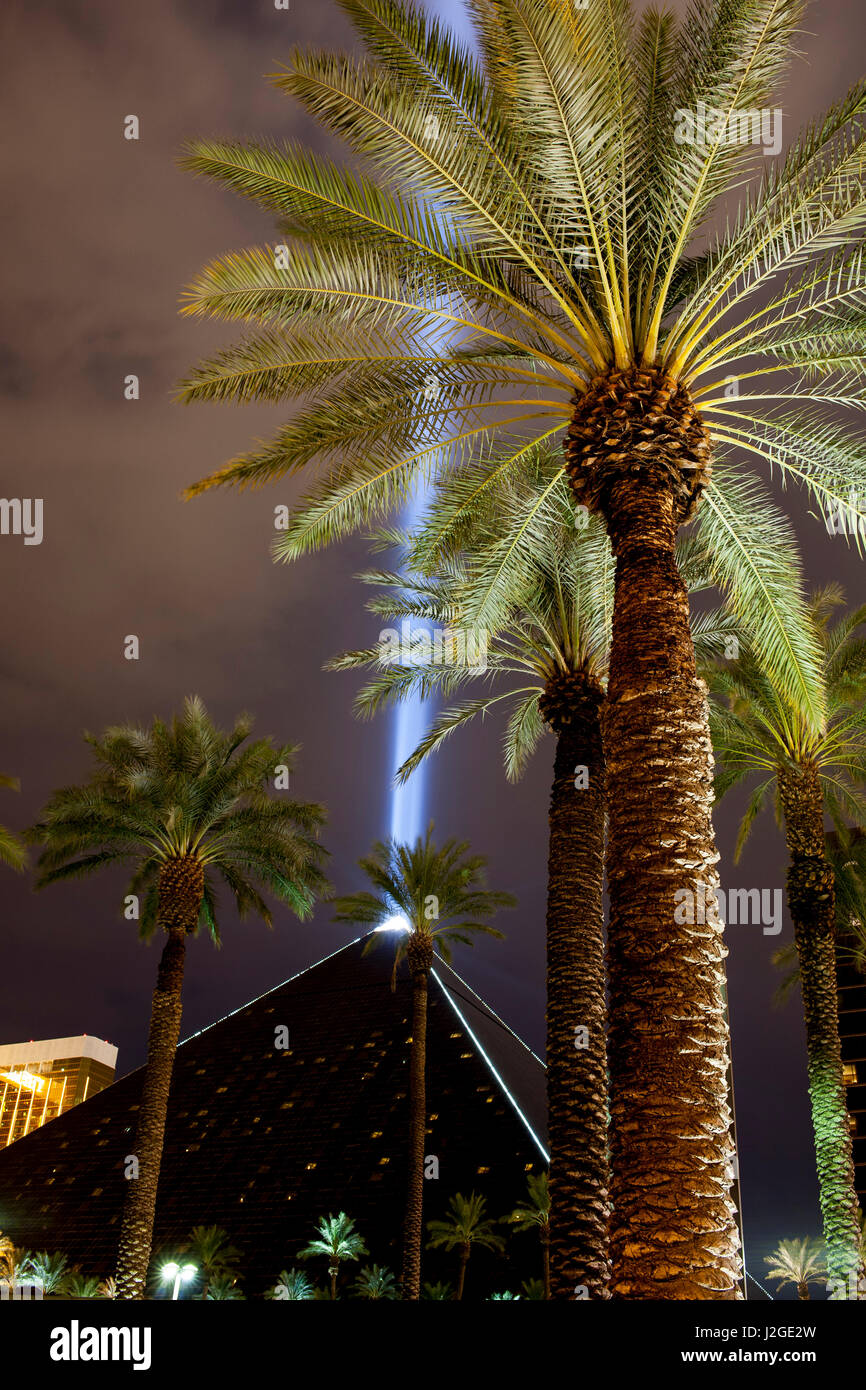USA, Nevada, Las Vegas. Luxor pyramid and palm trees Stock Photo - Alamy