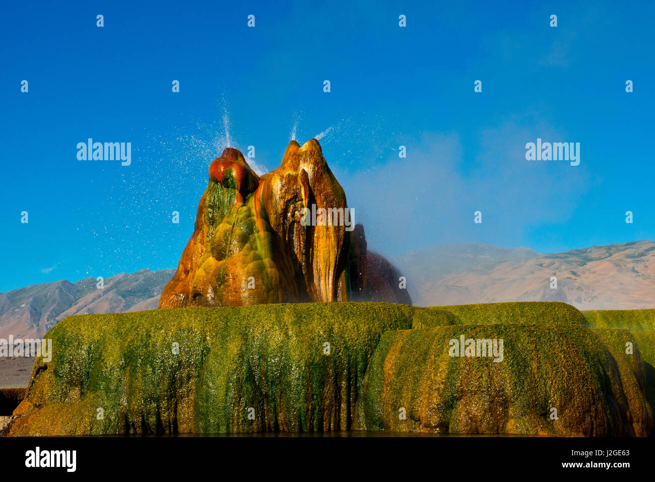 USA, Nevada, Gerlach, Fly Geyser, Black Rock Desert (Large format sizes ...